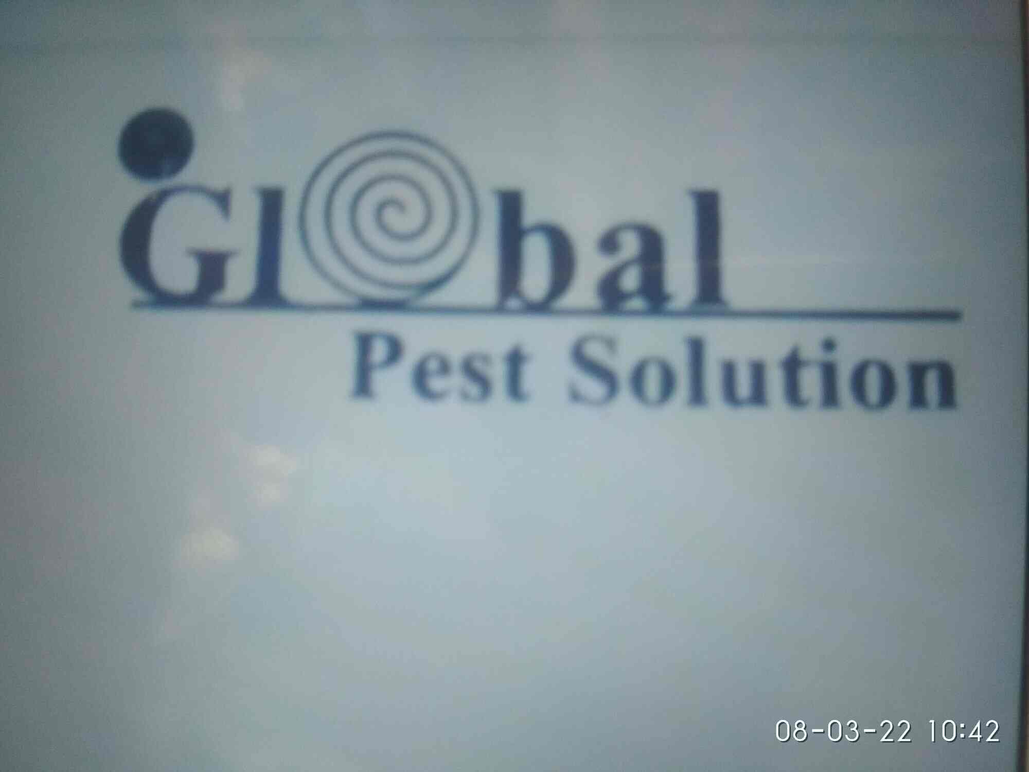 Global Pest Solution in Hasanpura,Jaipur - Best Pest Control Services ...