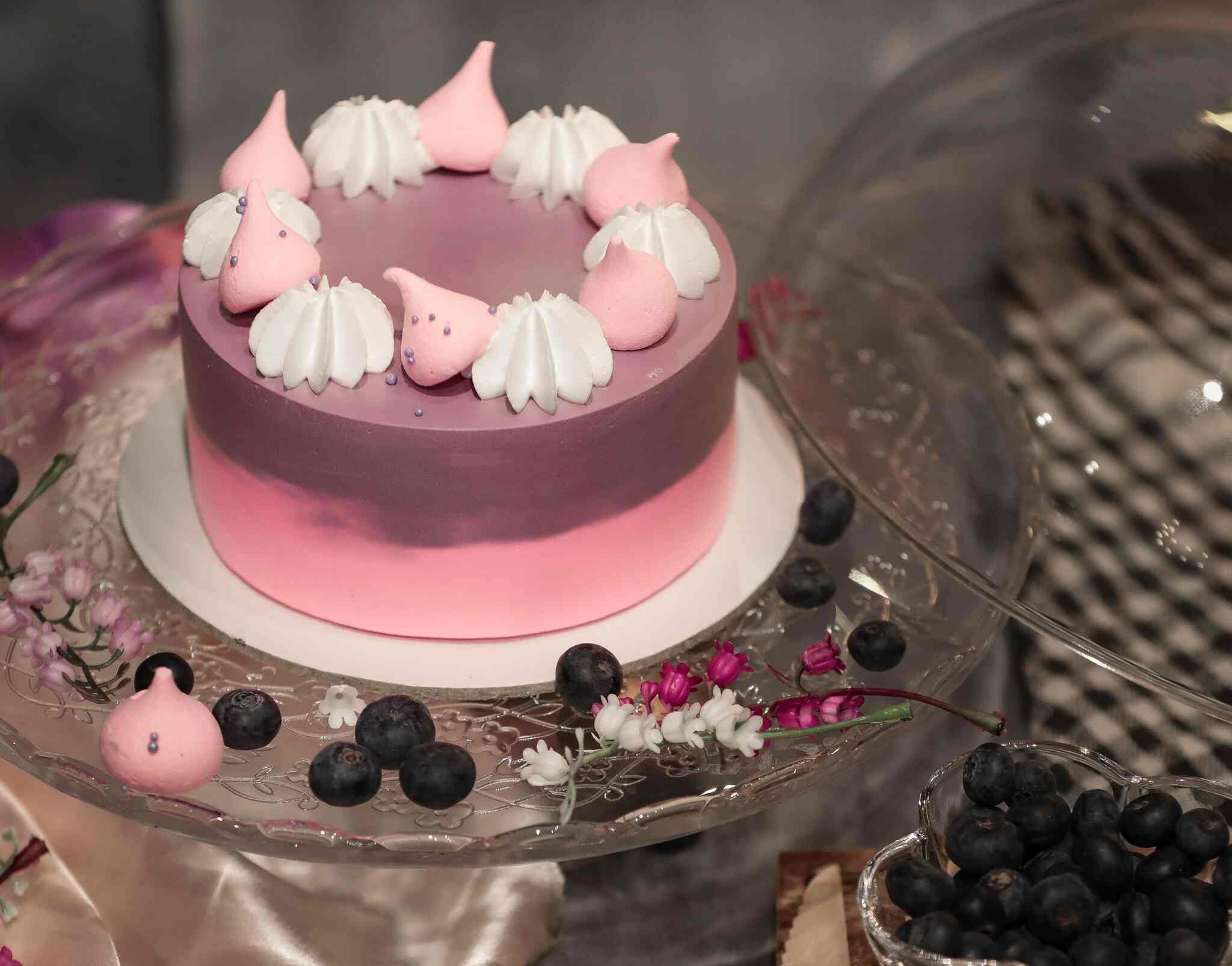 Chablon 2.0 in C Scheme,Jaipur - Best Bakeries in Jaipur - Justdial