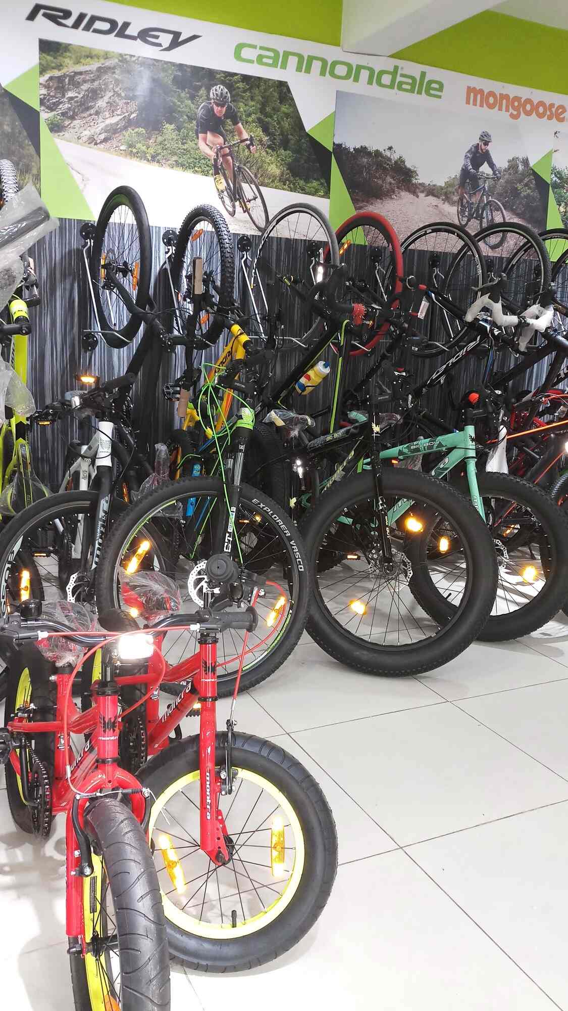 EMotorad Electric Cycles in Gangyal,Jammu - 𝗩𝗶𝗲𝘄 𝗢𝗳𝗳𝗲𝗿𝘀 - Bicycle ...