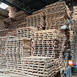 Catalogue - Goel Timber Store in Kaithal HO , Kaithal - Justdial