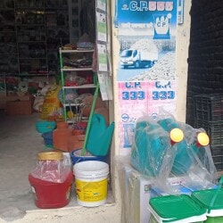 Anish Seed Store in Kholi, Kangra - Best Seed Retailers in Kangra ...