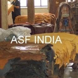 Catalogue - ASF India in Jajmau , Kanpur - Justdial