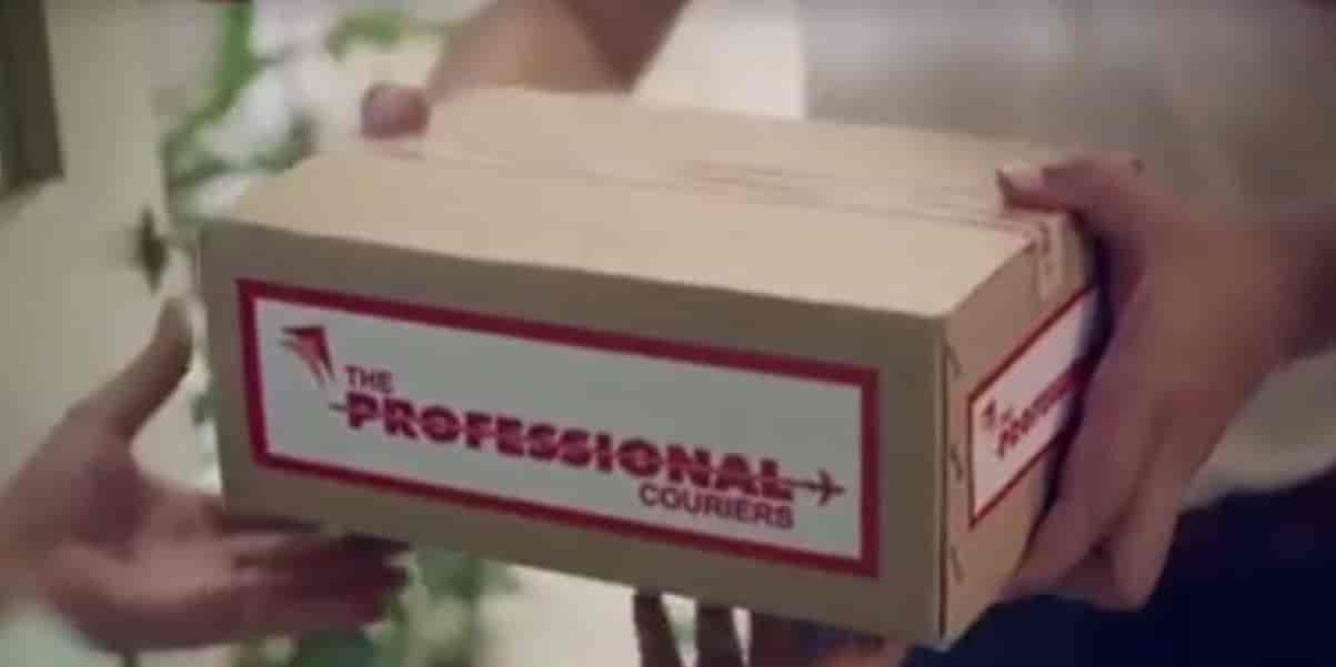 The Professional Couriers in Moradabad Road,Kashipur - Professional ...