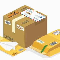 Top Domestic Courier Services Shree Anjani in Mapusa - Best Domestic ...