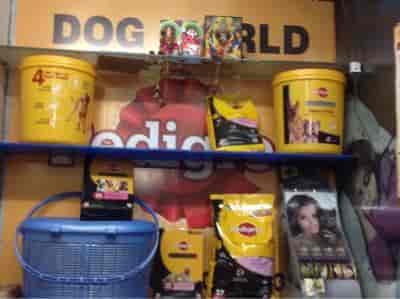 Dog World in Beadon Street,Kolkata - Best Pet Shops For Dog near me in ...