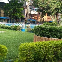 Top Parks in Boral Main Road-Garia - Best Gardens near me - Justdial
