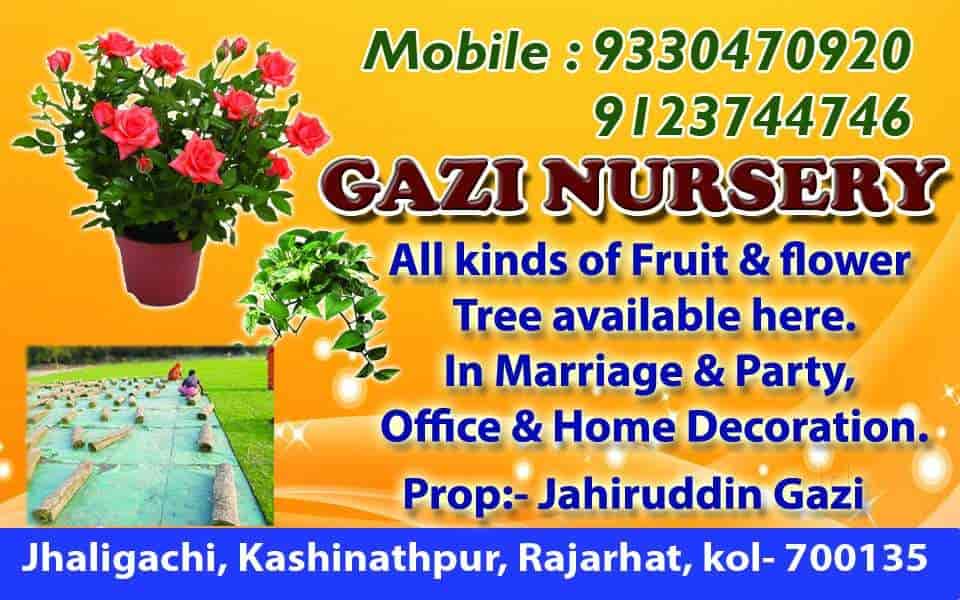 Gazi Nursery in Rajarhat, Kolkata - Best Rose Plant Wholesalers in ...
