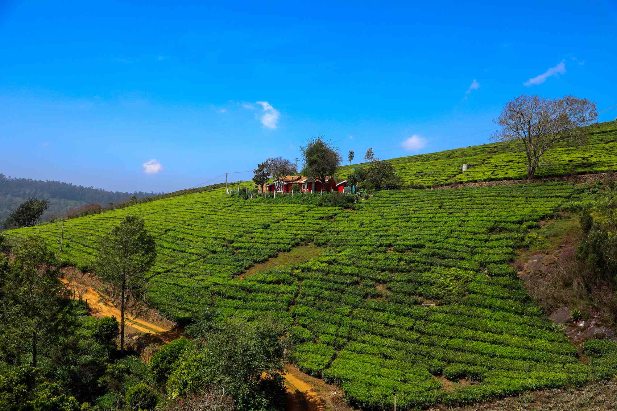 Book Hillcroft Bungalow in Donnington,Kotagiri - Best Hotels near me in ...