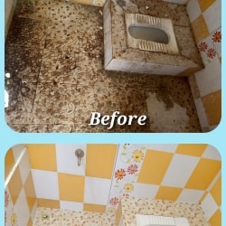Residential Cleaning Services in Rameswaram - Page 2