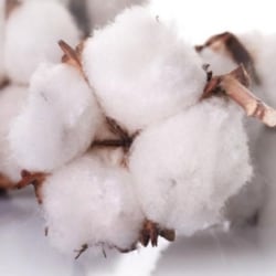 Strands Textile Mills Pvt. Ltd. in Kidana, Gandhidham - Best Textile ...