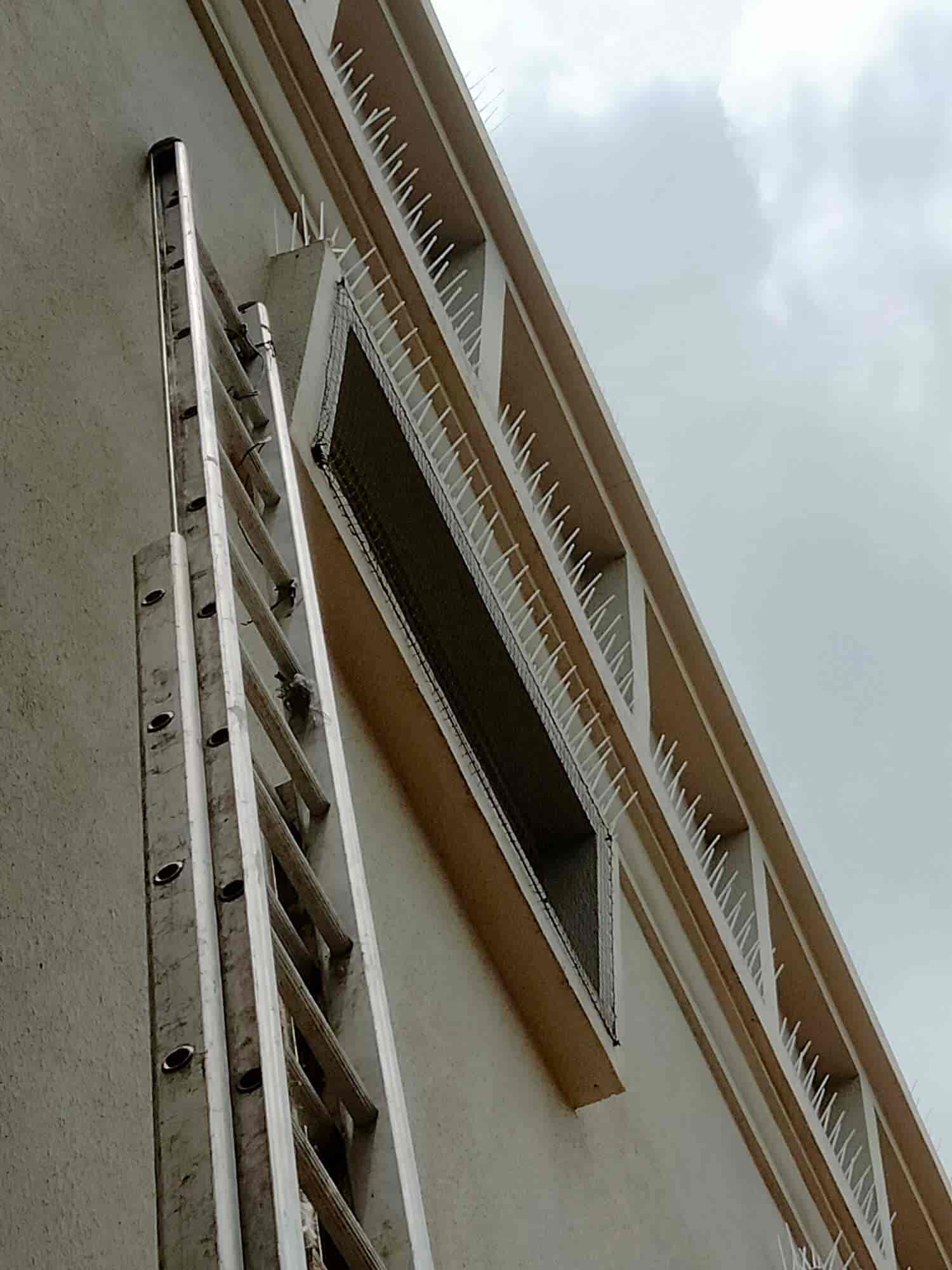 Mahera Enterprise in Kutch - Best in Kutch - Justdial