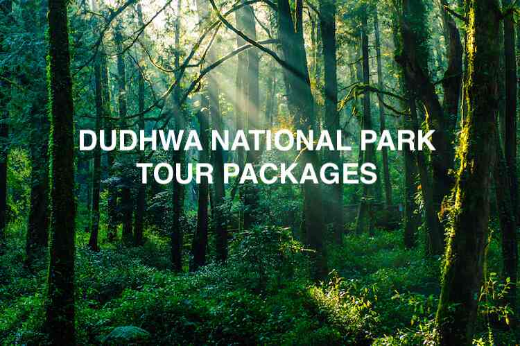 Top Travel Agents in Mailani - Best Tour Operators - Justdial