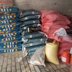 Top Goat Feed Retailers in Hoshiarpur - Best Goat Feed Dealers near me ...