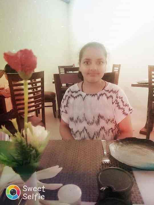 Maple in Joginder Nagar,Mandi - Best Restaurants in Mandi - Justdial