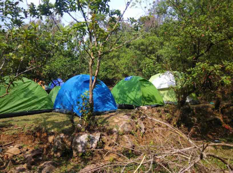 Forest Checkpost in Mangalore - Best Camp Organisers in Mangalore ...