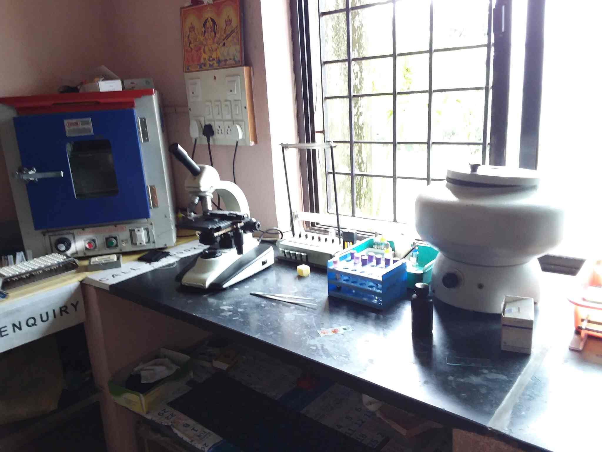 Shree Lakshmi Clinical Laboratory in Baikampady,Mangalore - Best ...