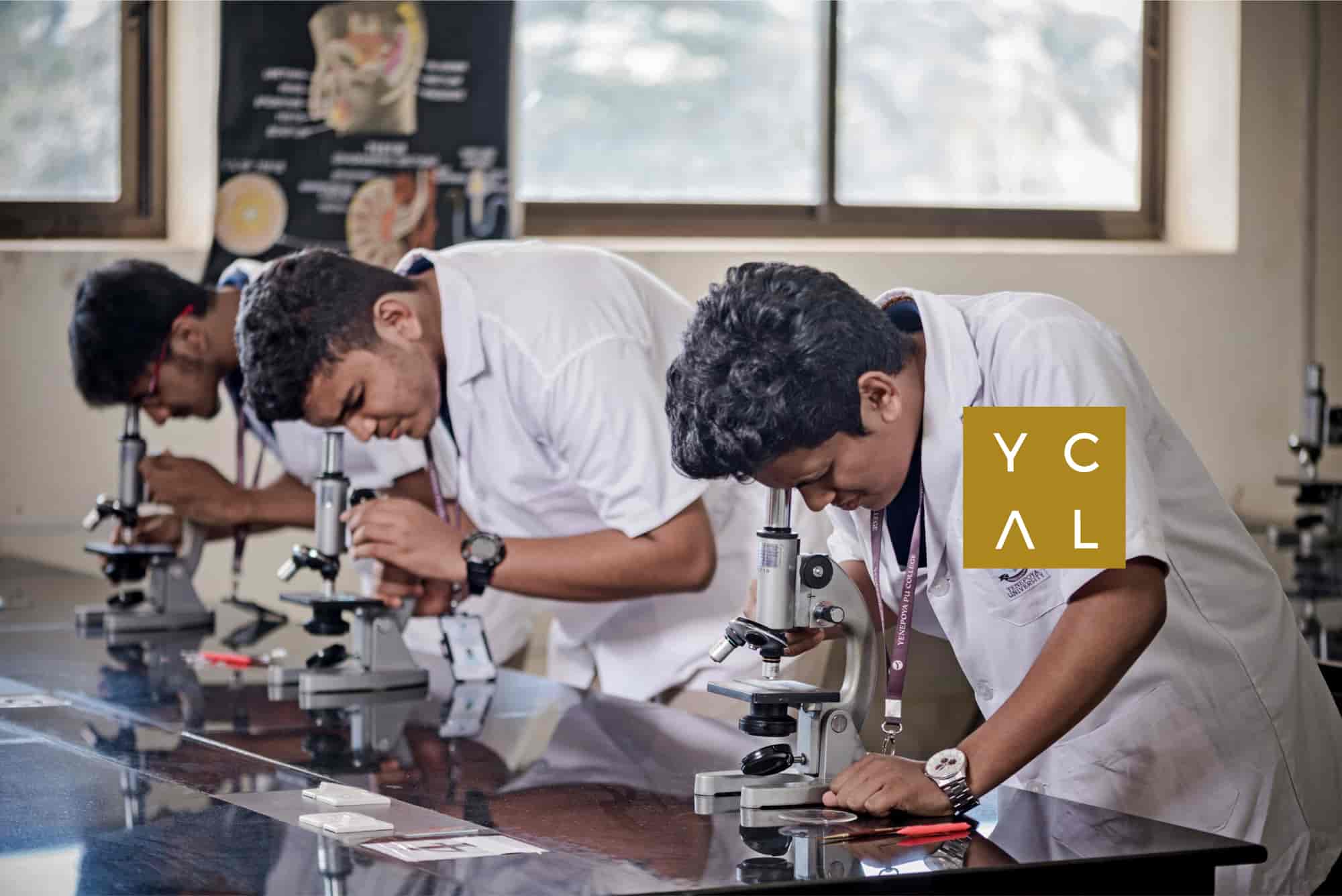 Ycal in Deralakatte,Mangalore - Best Tutorials near me in Mangalore ...
