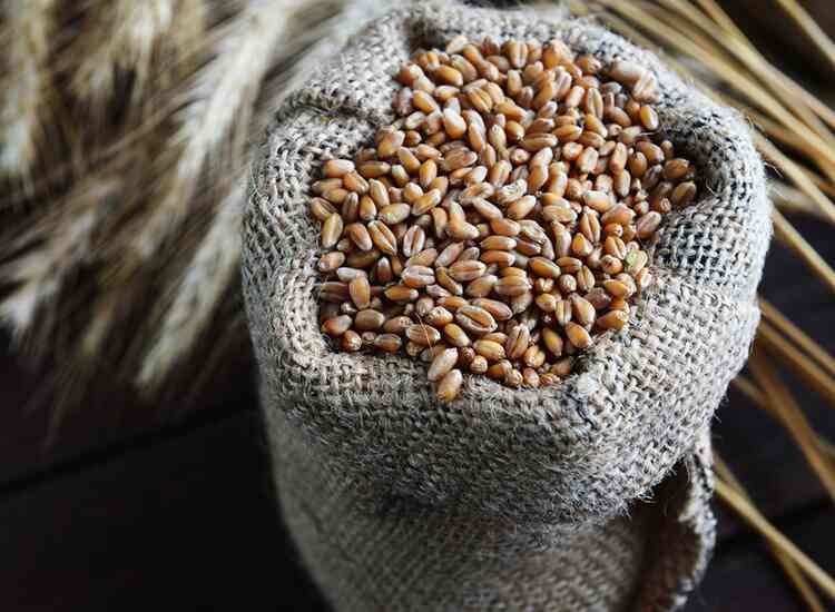 Government Ration Shop in Sakinaka,Mumbai - Best Grocery Stores in ...