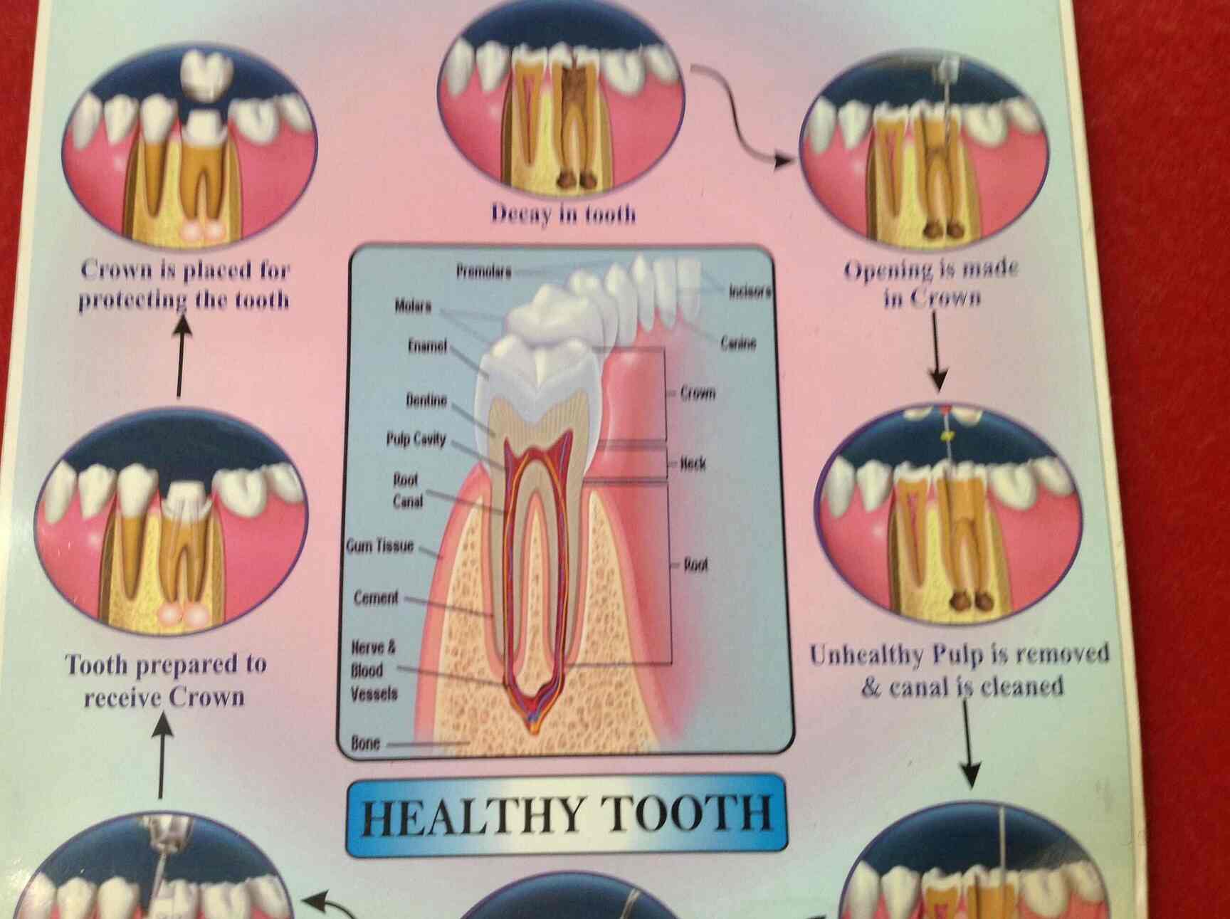 Dr. Tejal Rathod Morker in Borivali East,Mumbai - Best Dentists in ...