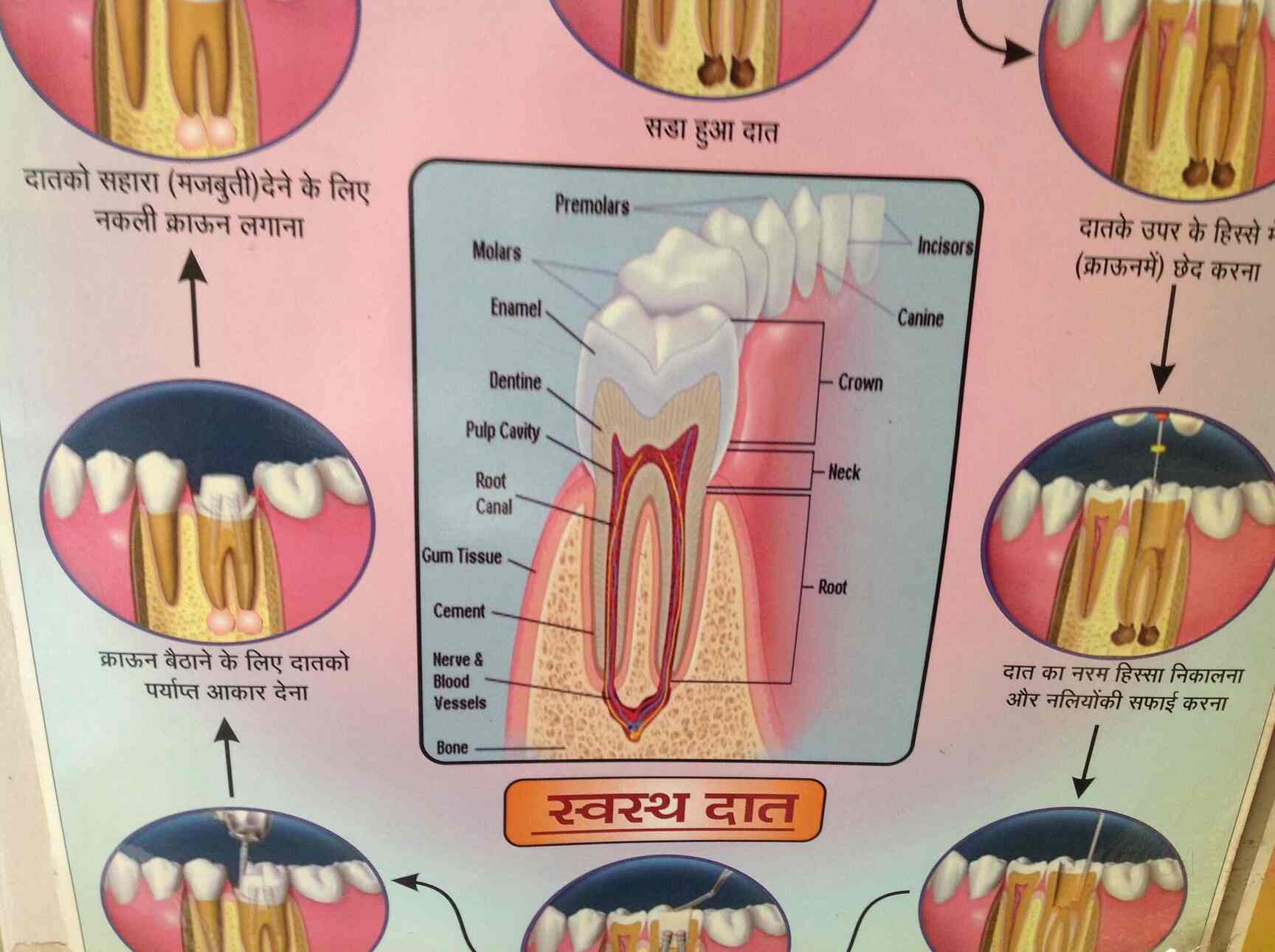 Dr. Tejal Rathod Morker in Borivali East,Mumbai - Best Dentists in ...