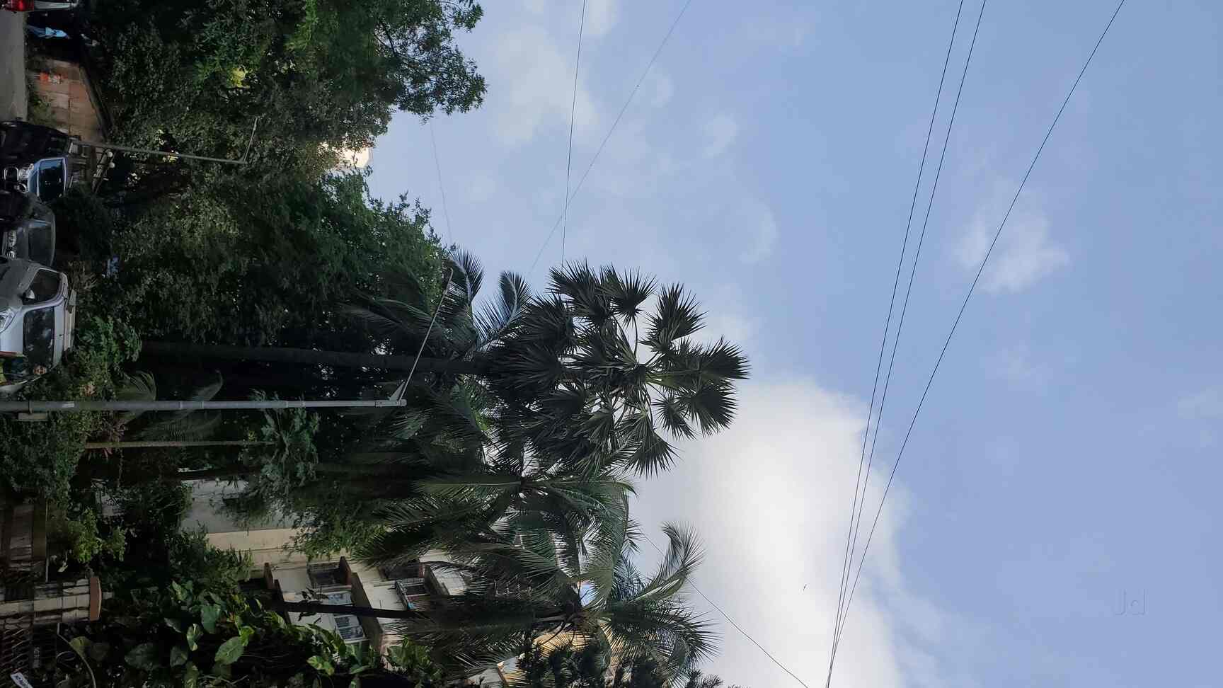 Top Pre Shipment Inspection Services in Surat - प्रे शिपमेंट इंस्पेक्शन ...