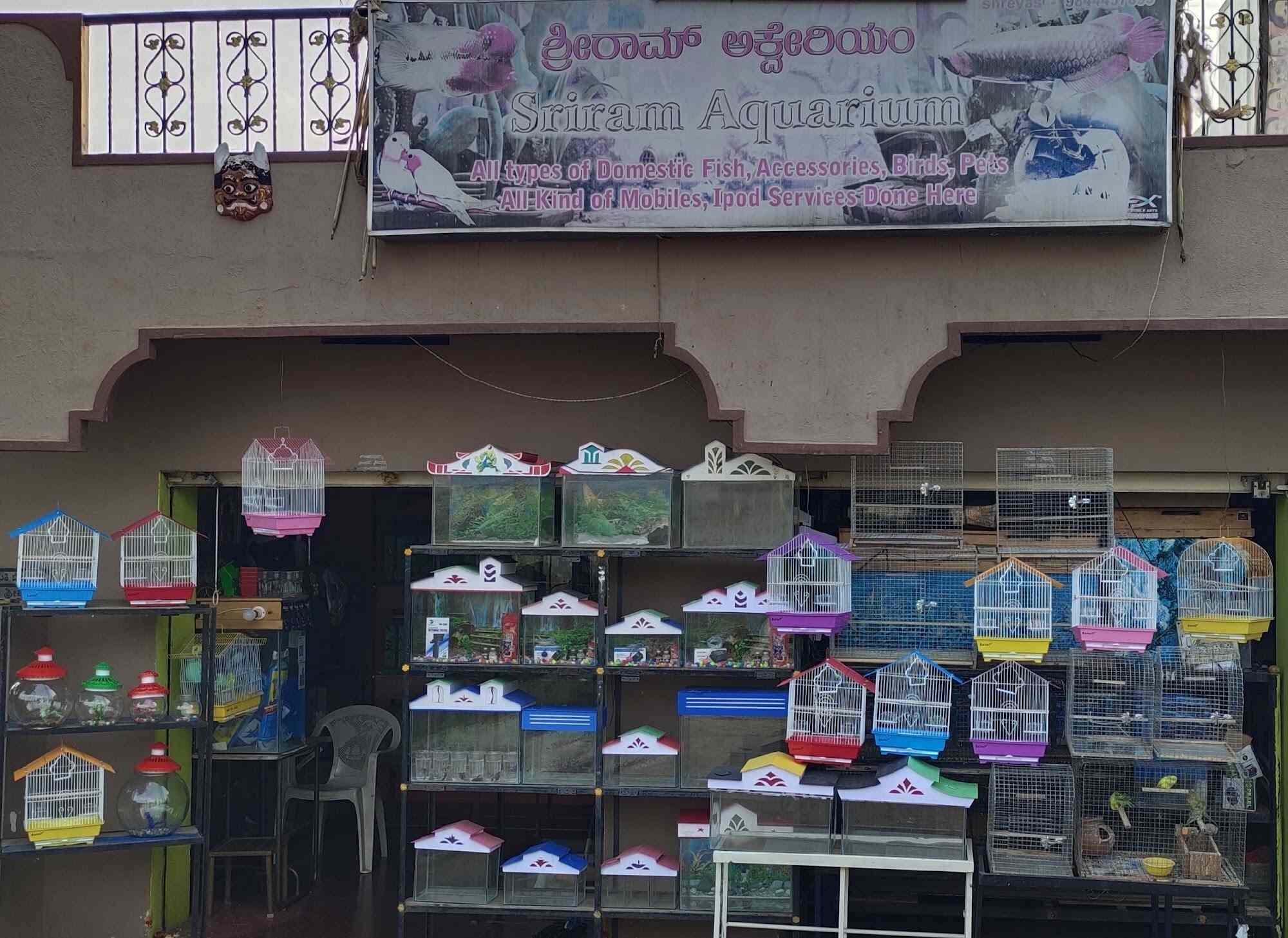 Sri Ram Aquarium in Hootagalli,Mysore - Best Aquariums in Mysore - Justdial