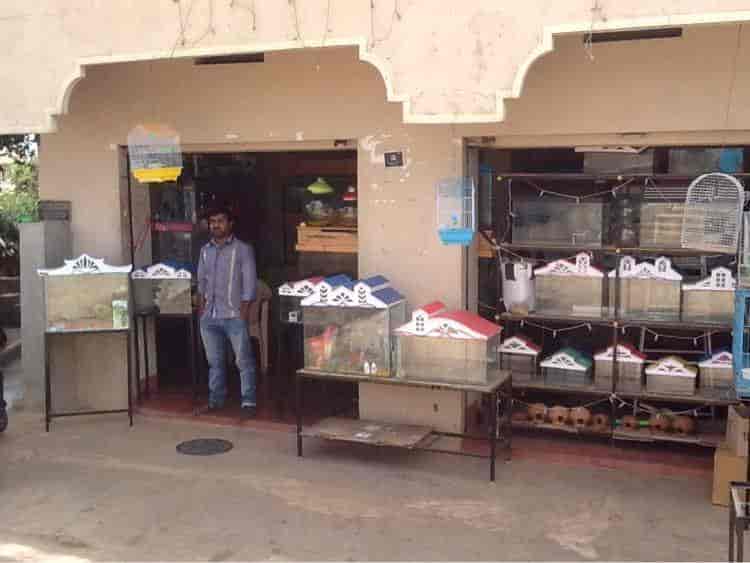 Sri Ram Aquarium in Hootagalli,Mysore - Best Aquariums in Mysore - Justdial