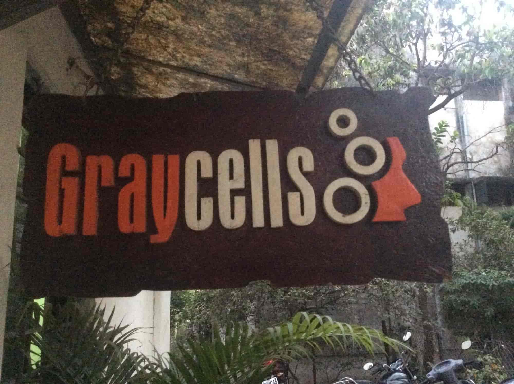 Graycells in Pratap Nagar,Nagpur - Best E Commerce Service Providers in Nagpur - Justdial
