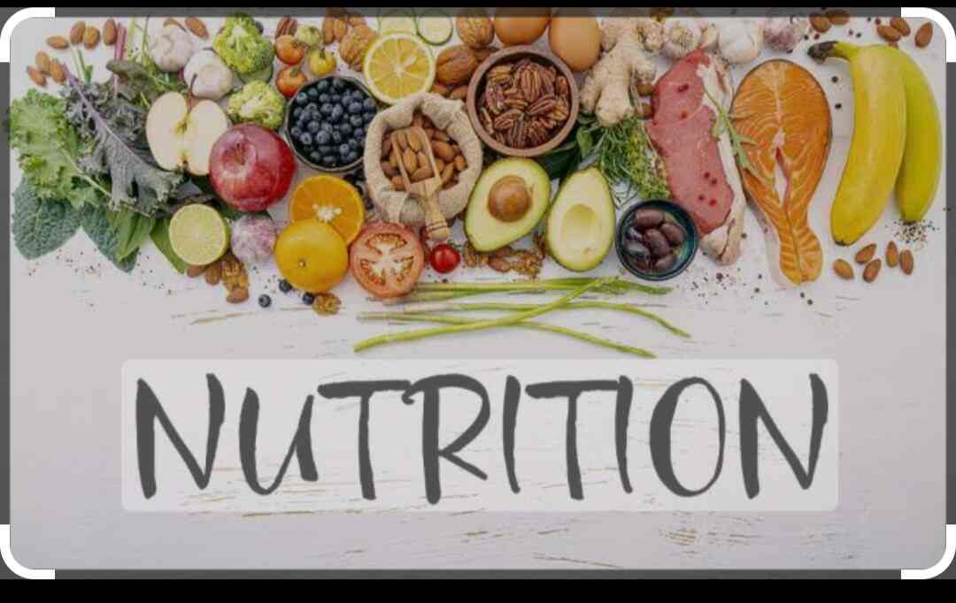 sameer wellness center in Srinivasa Nagar,Nandyal - Book Appointment ...