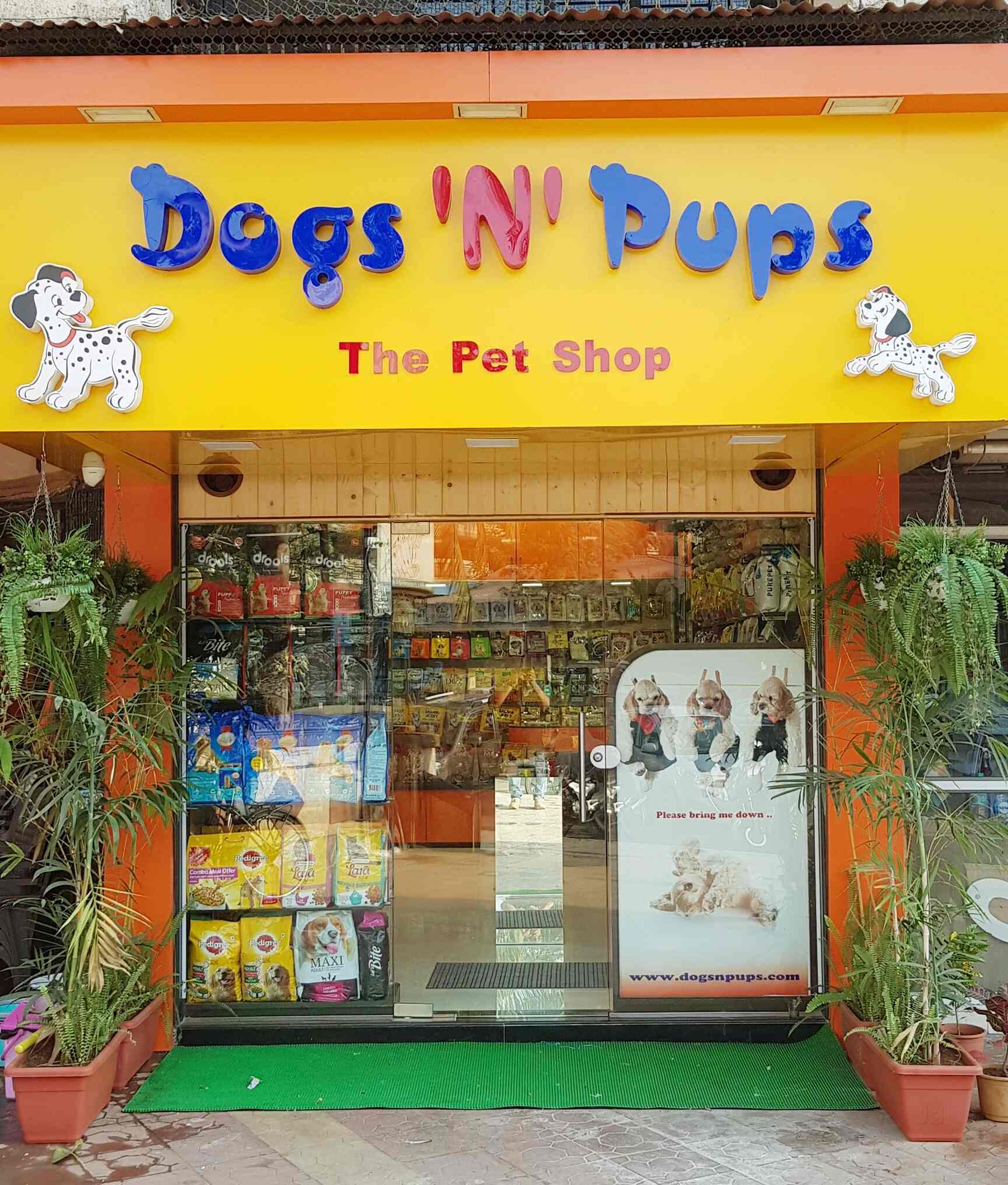 Pet Stores Near Me That Sell Bird Supplies Here S Why There S No Such Pet Stores Near Me That Sell Bird Supplies Here S Why There S No Such