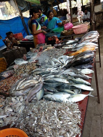 Seafood wholesalers near me store