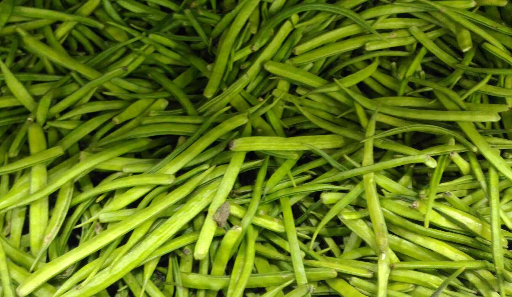 Tinda The Daily Fresh Studio in Kharghar,Mumbai - Best Vegetable ...