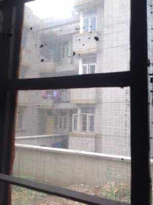 Tycondo classes in Greater Noida,Delhi - Best Judo Classes in Delhi ...