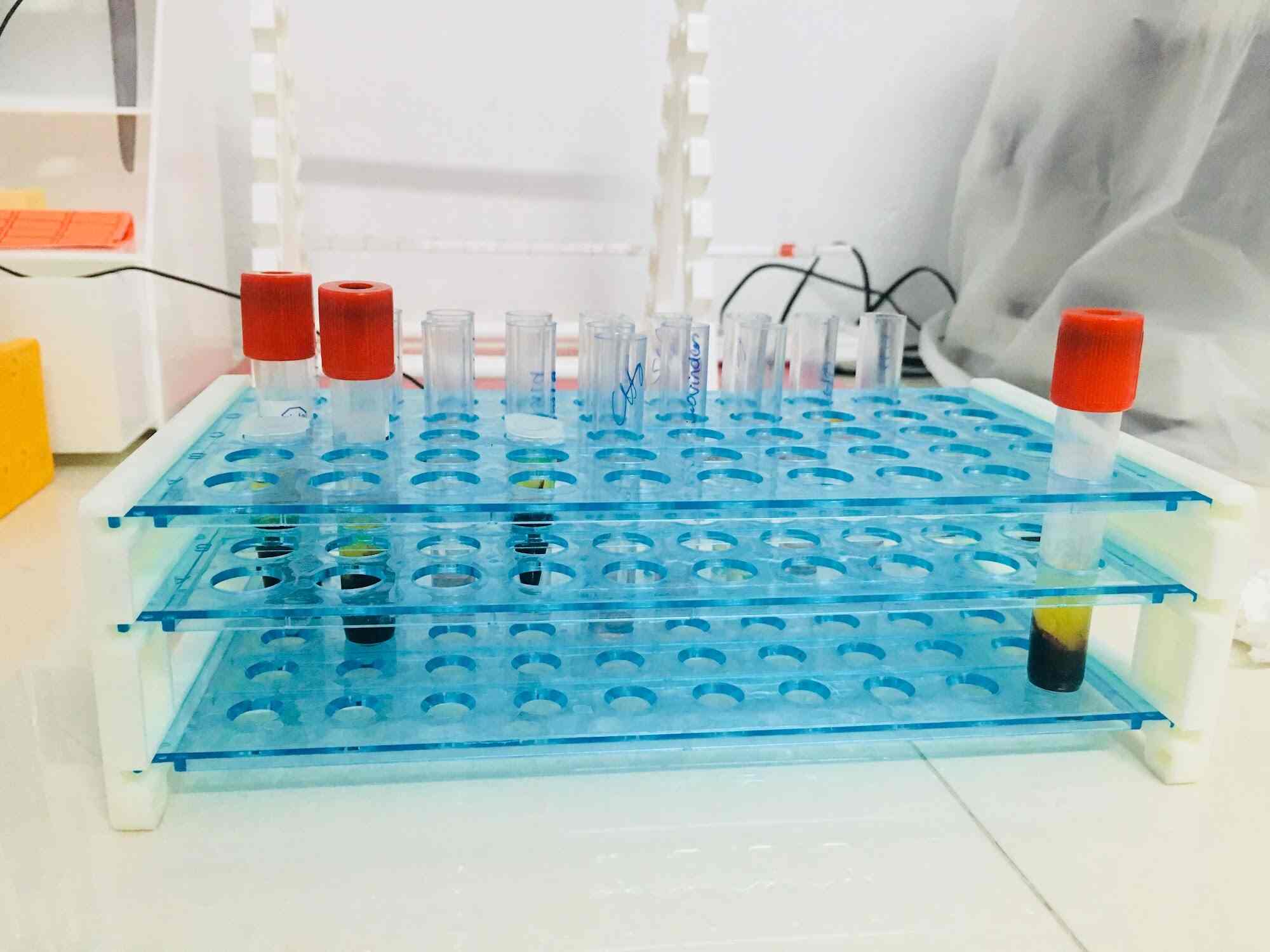 Wecare Laboratory in Parakkulam Road,Palakkad - Best Diagnostic Centres in Palakkad - Justdial