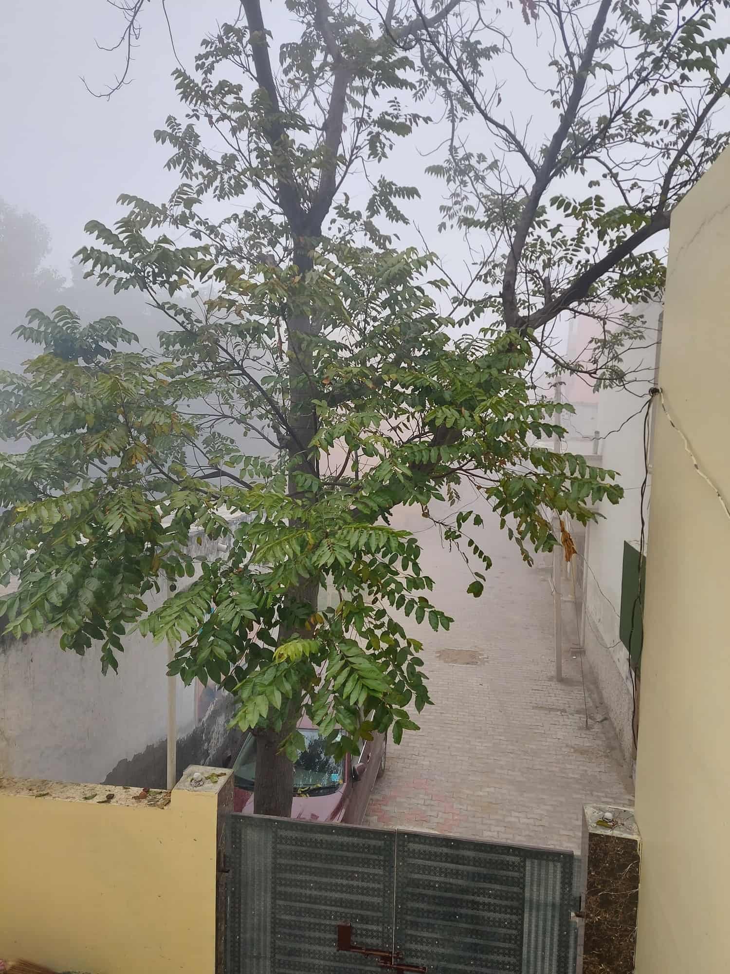 Heartfulness Meditation Centre (Srcm) in Mathura Road,Palwal - Best ...