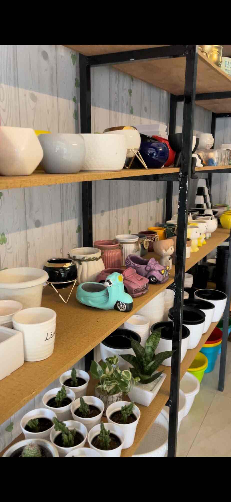 Bubbles Land in Canan Nagar,Pathanamthitta - Best Gift Shops near me in ...