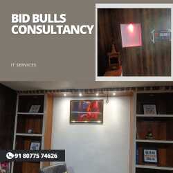 Catalogue - Bid Bulls Consultancy Private Limited in Frazer Road ...