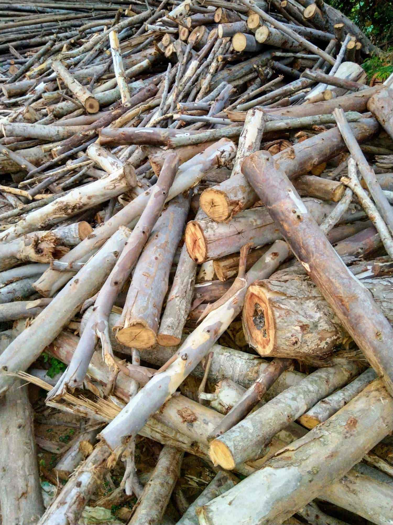 how-much-firewood-is-in-a-cord-and-how-to-store-it-51-off