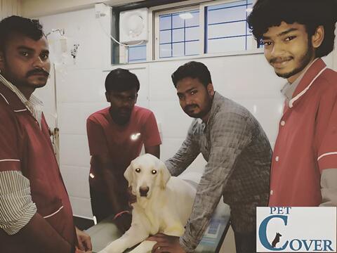 List of nearest Veterinary Sonography Centres near Jeevan Eye Clinic ...
