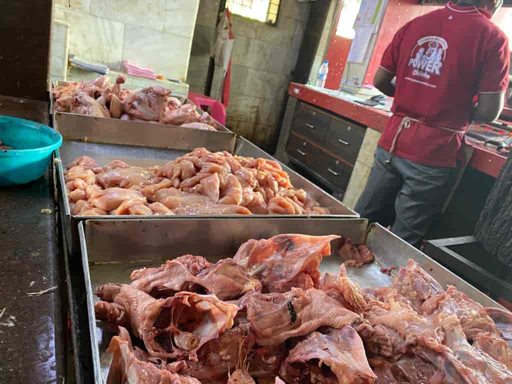 Yojana Poultry Outlet in Pulachi Wadi-Deccan Gymkhana,Pune - Best ...