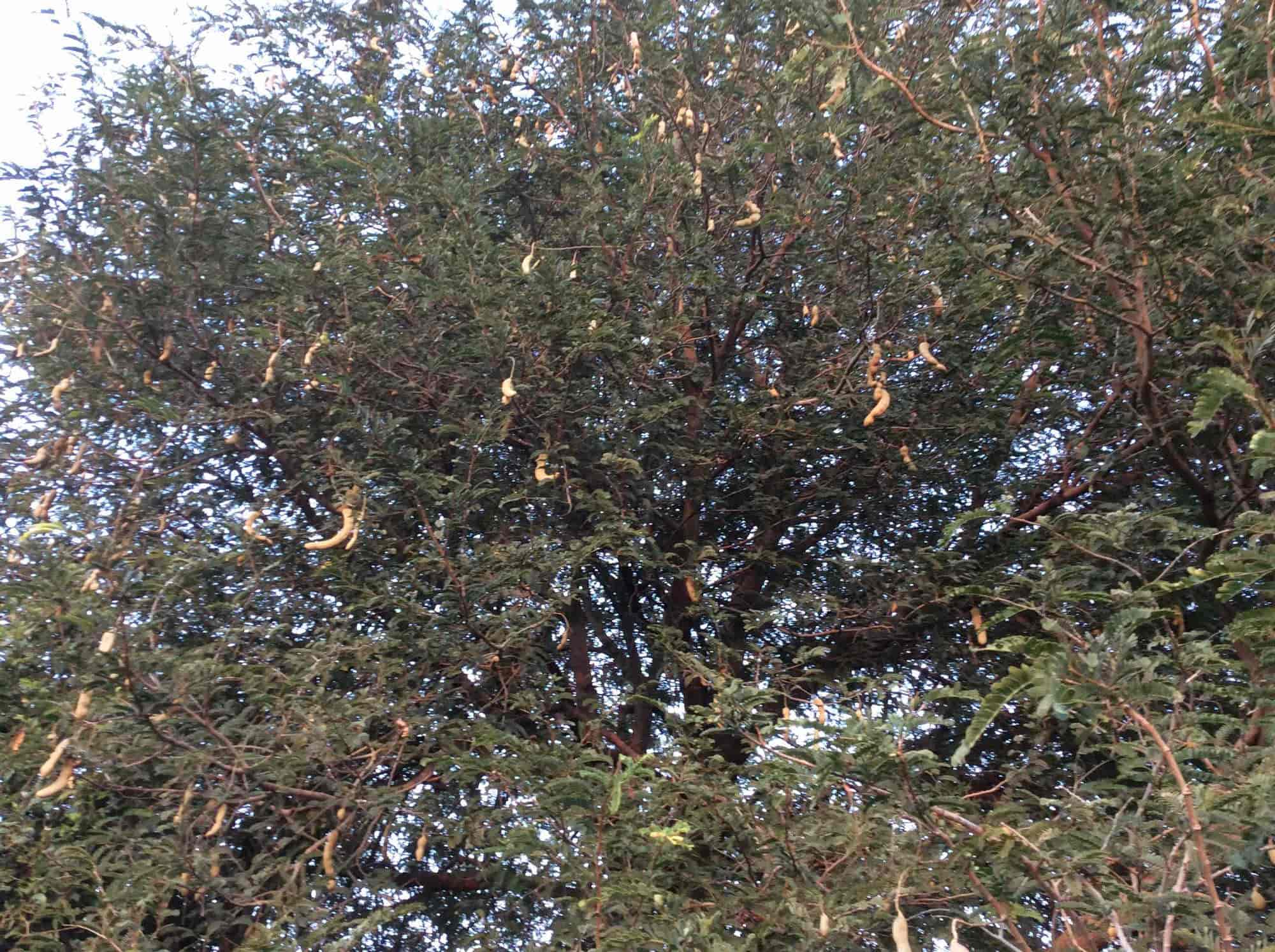 Surya Photo Studio in Balaji Nagar-Dhankawadi,Pune - Best Photo Studios ...