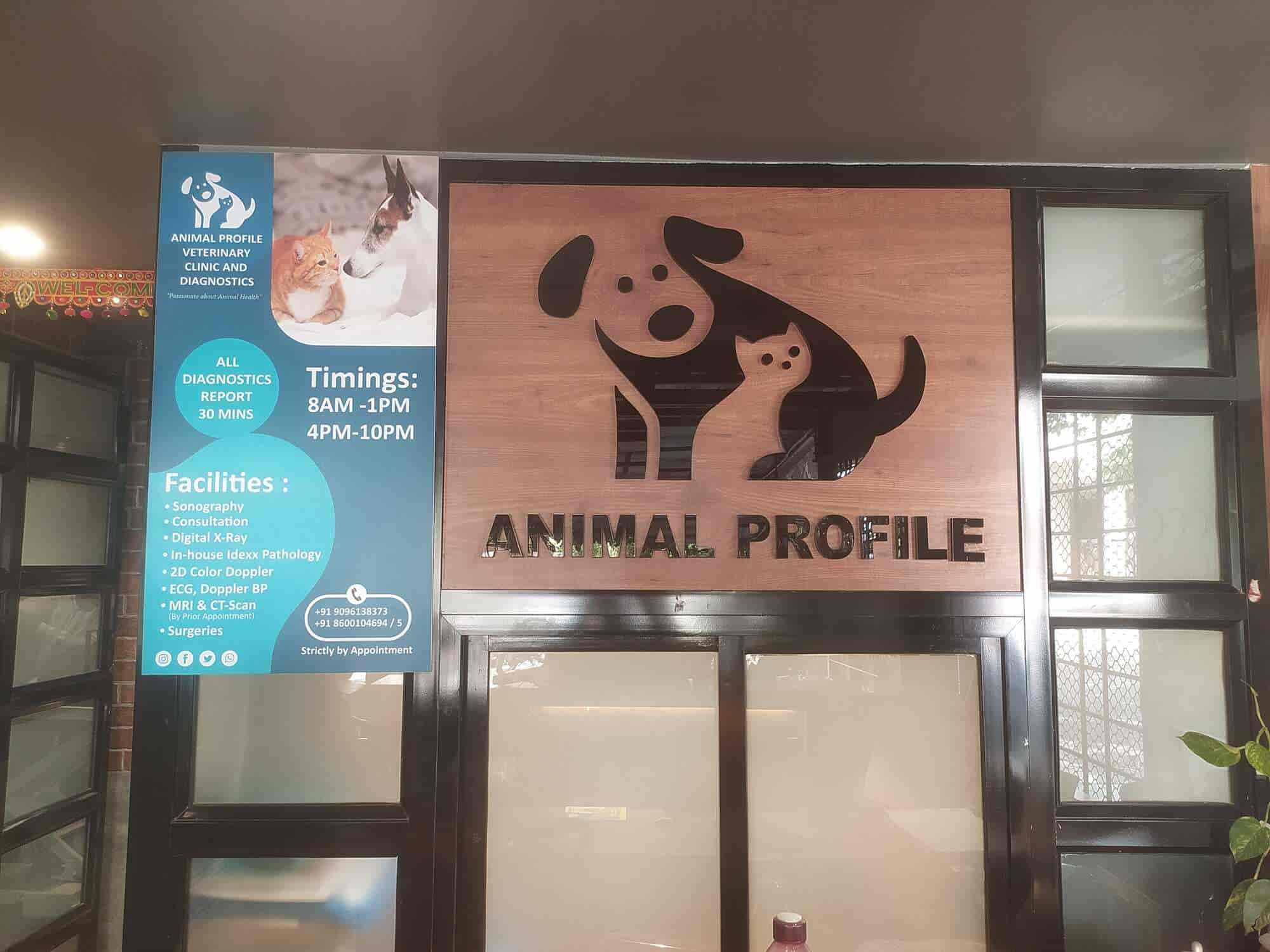 Animal Profile Veterinary Clinic & Diagnostics in Baner,Pune - Best ...