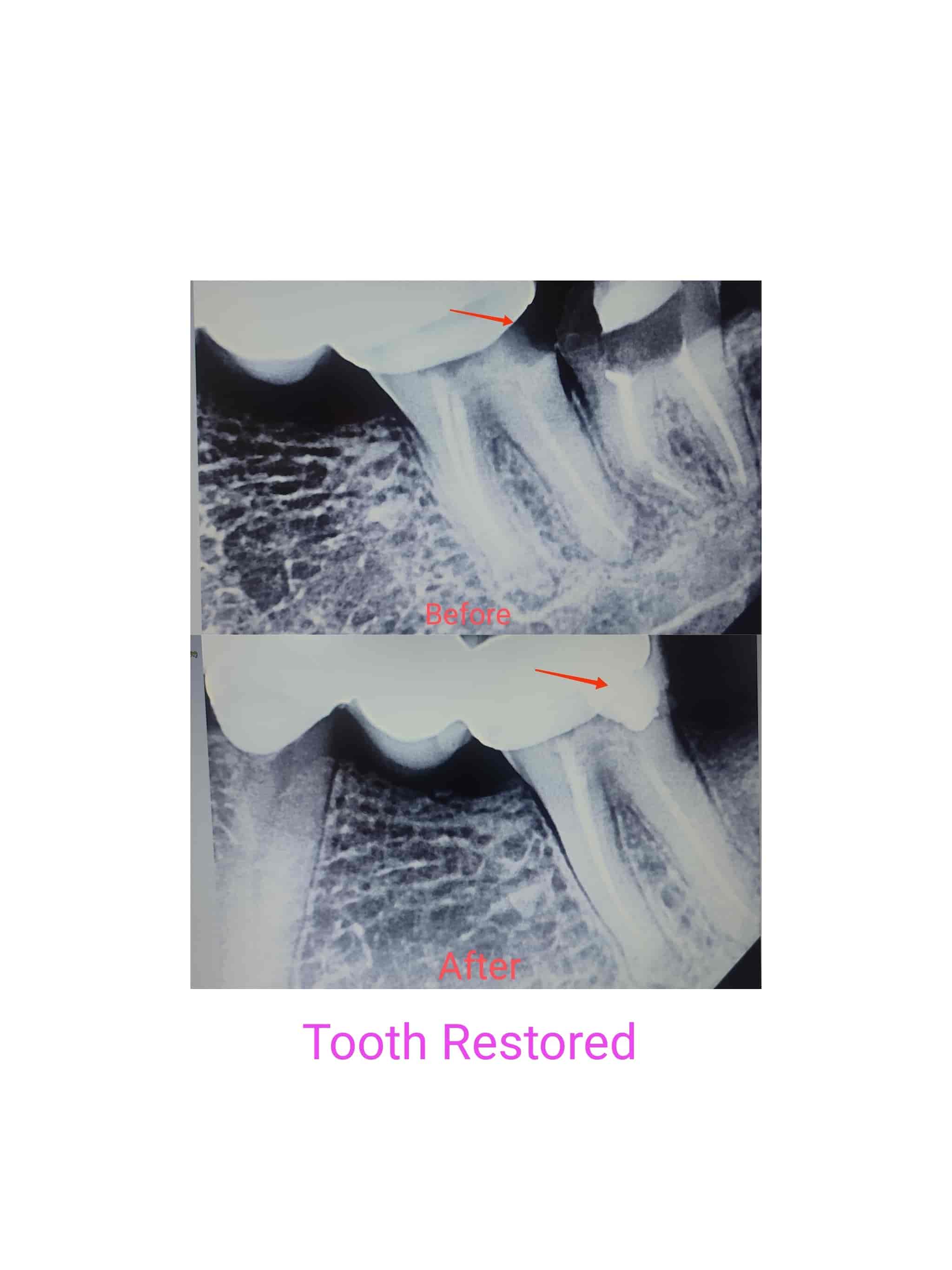 Top Dentists in Rule, Pune - Best Conventional Dentistry Doctors near me - Justdial