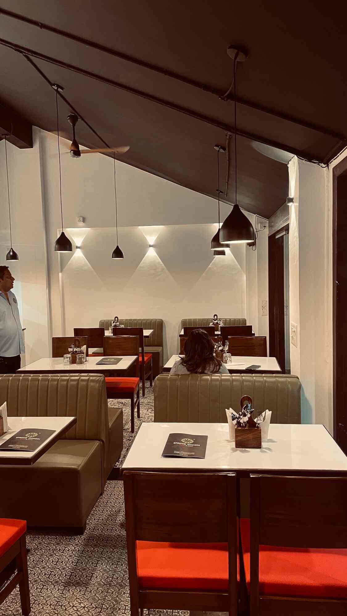 Spring Onion in Deccan Gymkhana,Pune - Order Food Online - Best Chinese ...