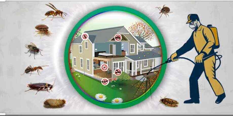 Zero Pests Pest Control Management in Viman Nagar,Pune - Best ...
