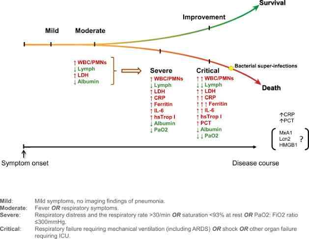 Robbins & Cotran Diagnostics in Opposite Sbi Main Branch,Beside Snt ...