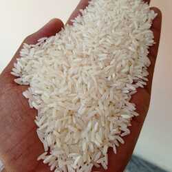Indian White Rice Swarna in Narayanpur - Dealers, Manufacturers ...