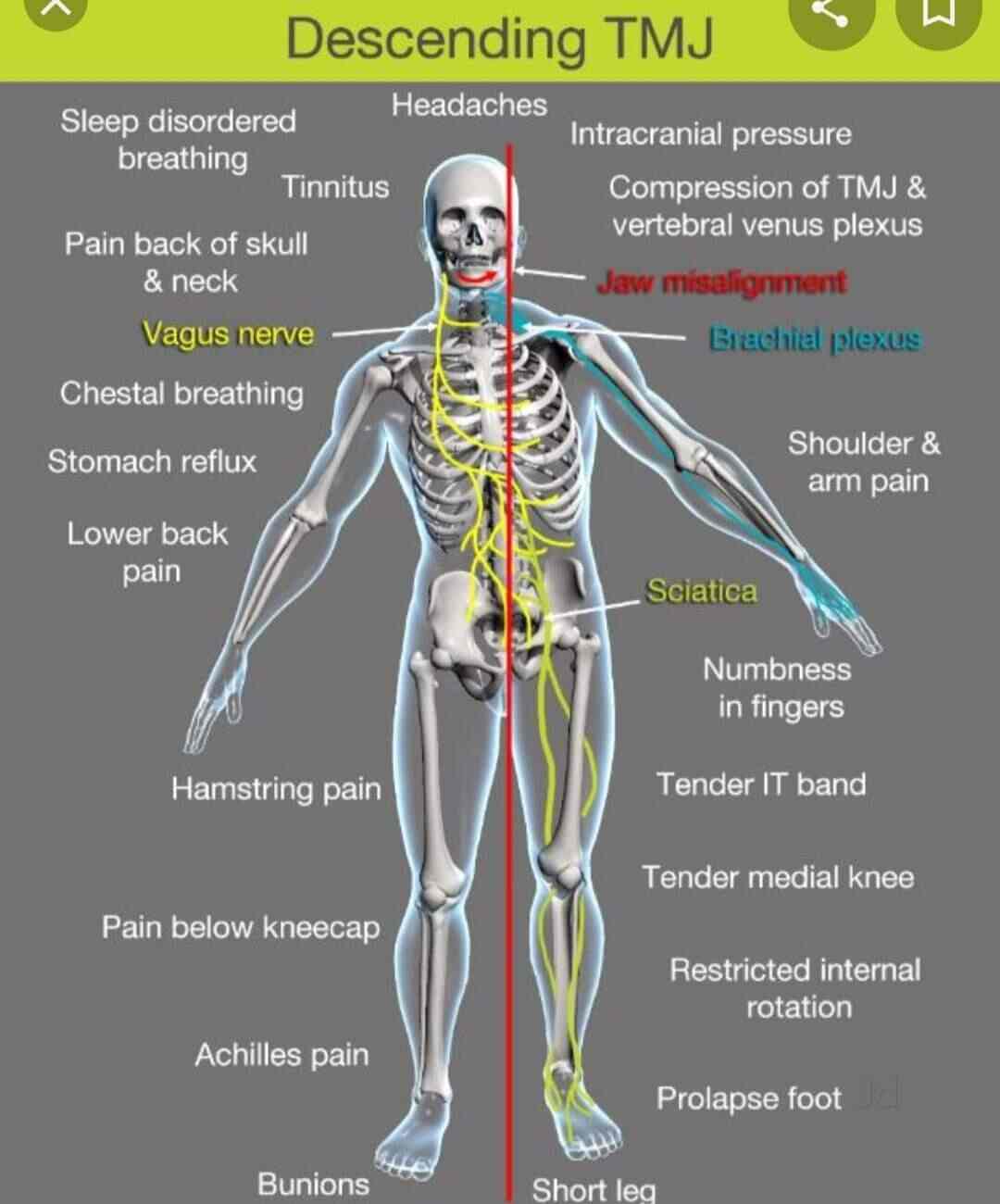 Dental & Maxillofacial Rehab Centre in New Hb Road,Ranchi - Best ...