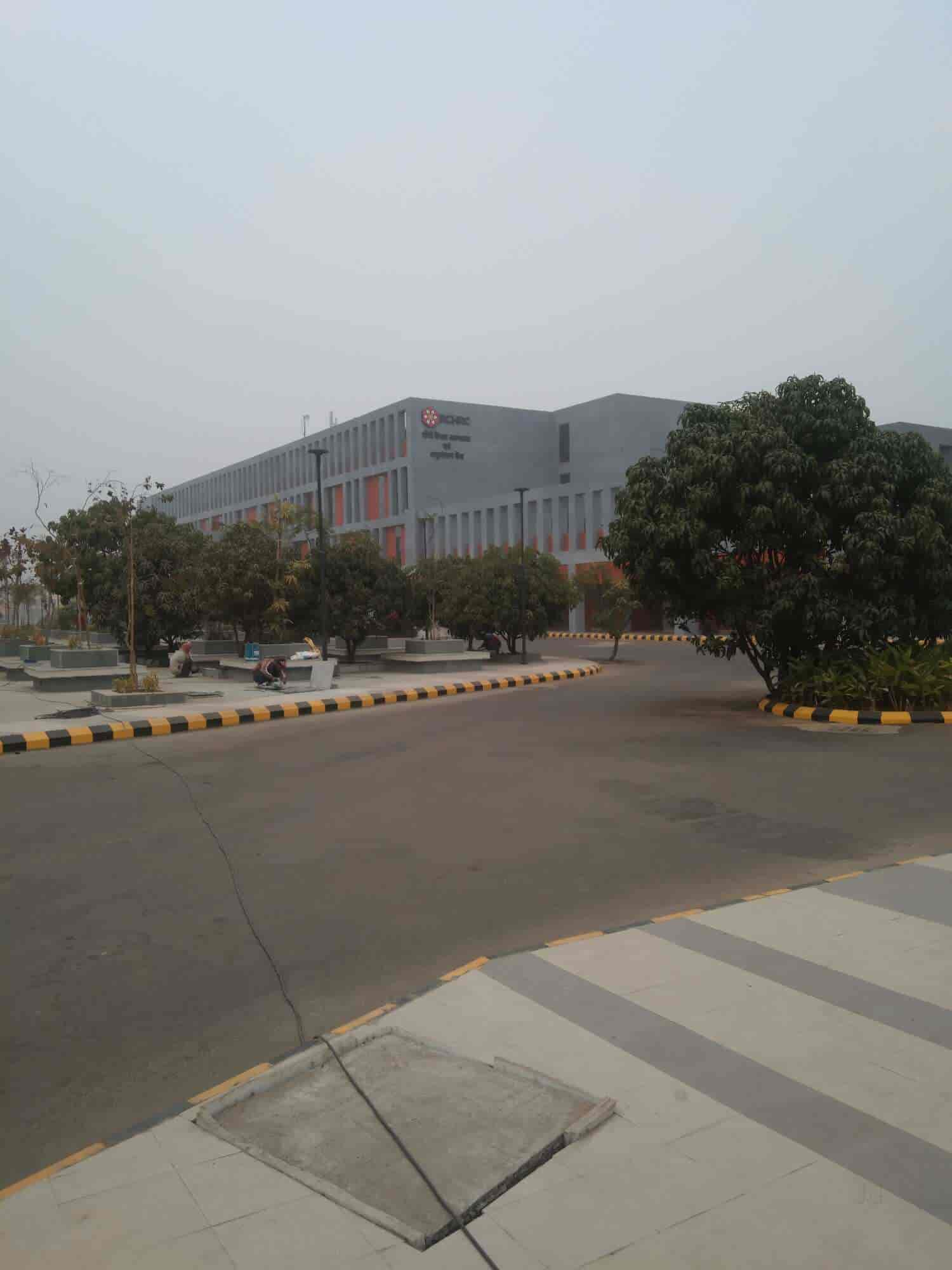 Dr Amitesh Anand in Kanke,Ranchi - Best Online Thoracic Oncologists in ...