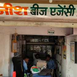 Top Ashwagandha Seed Wholesalers in Kolkata - अश्वगंधा सीड व्होलेसलेर्स ...